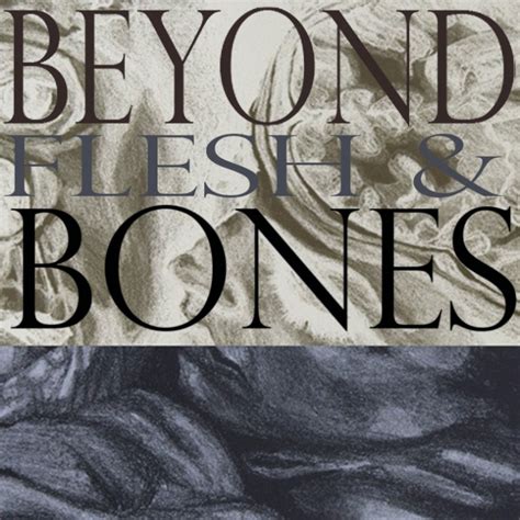 A Career In Illustrating The Anatomy The Roots Of The Art
