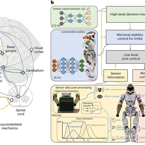 Algorithmic Realizations Of Hierarchical Control As Inference A Download Scientific Diagram