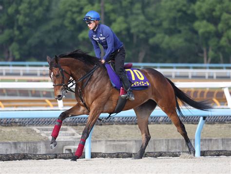 【安田記念】メイケイエールは1枠2番 武英調教師「行ってもいい」 スポーツ報知