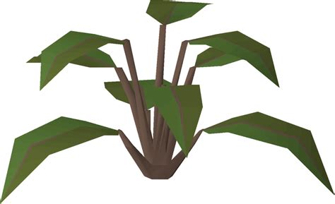 Plant Defender Of Varrock Osrs Wiki