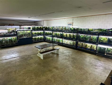 Updated Frog Room Different Angles To Capture The Main Part Of The