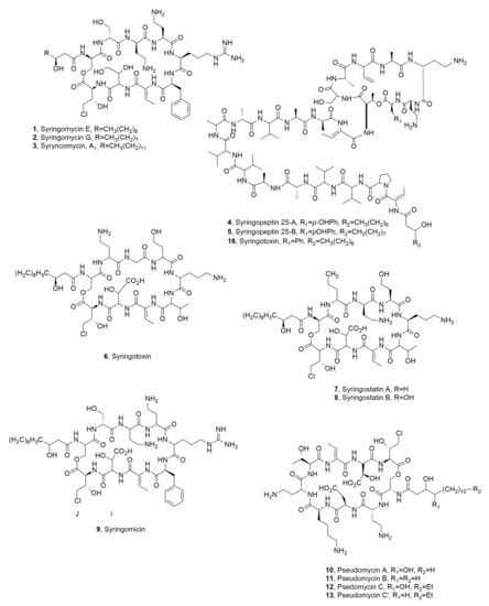 Ijms Special Issue Bioactive Natural Products Isolation Structural Elucidation And