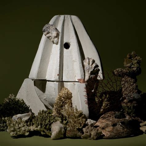 Every Work Is Very Different In Organic Architecture Says Javier