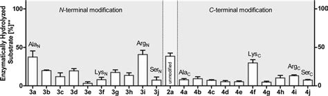 Phosphoramidate Hydrolysis Yields For N And C Terminally Modified