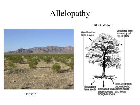 Ppt Biological Interactions And Distribution Powerpoint Presentation