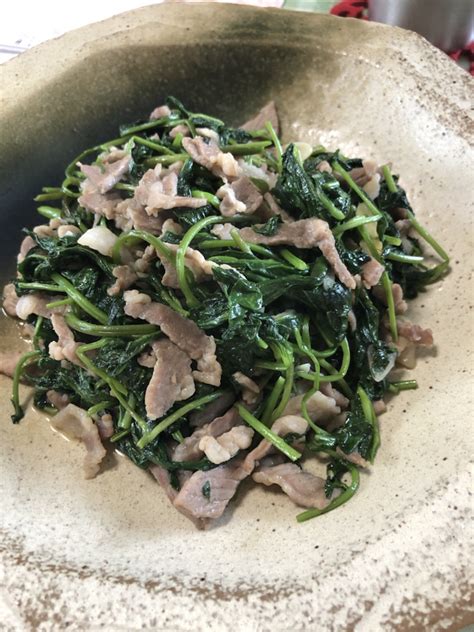 🌱空芯菜の再生栽培🌱 石垣島の一棟貸切宿ペンションぷちハウス