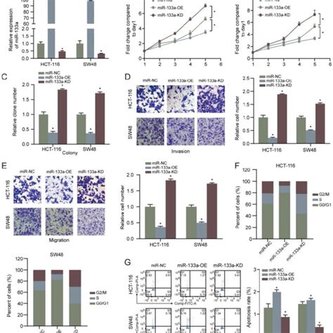 High Mir 133a Expression Suppresses Proliferation Invasion Migration