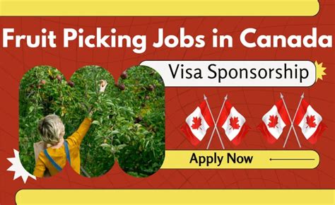 Fruit Picking Jobs In Canada With Visa Sponsorship