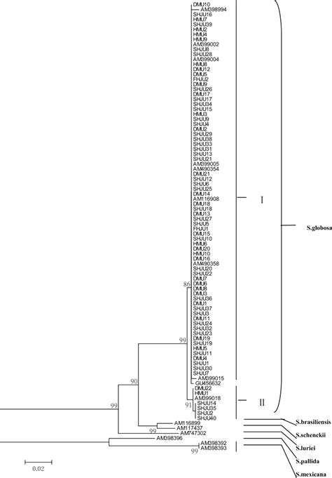 Phylogenetic Tree Generated By Neighbor Joining Analysis Using Partial