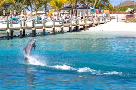 Why Cable Beach Nassau Is The Best Beach On New Providence The Bahamas
