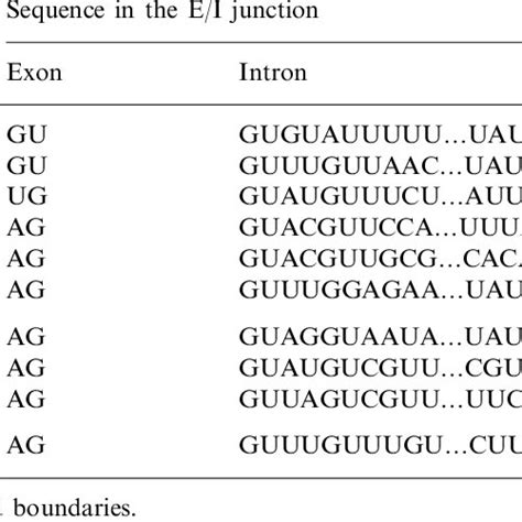 Sequence Analysis Of The Exonintron Boundary For The B Bo6is Pmm Ig Download Scientific