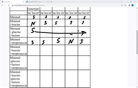 SOLVED UNKNOWN CULTURE IDENTIFICATION Solving The MysteryPurpose Solve The Identity Of An