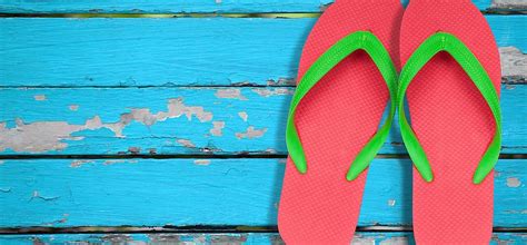 Happy Flip Flop Day 2024 Hilda Larissa