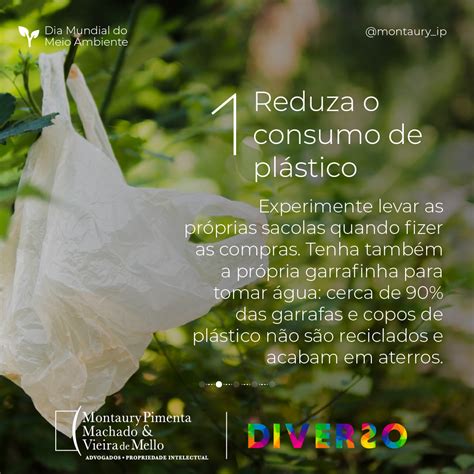 Dia Mundial Do Meio Ambiente