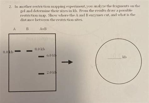 Solved 2 In Another Restriction Mapping Experiment You