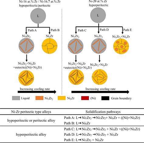 A Summary Of Experimentally Observed Solidification Pathways For Nizr Download Scientific