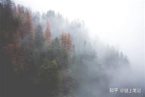 每日财学 余生，多靠近滋养你的人 知乎