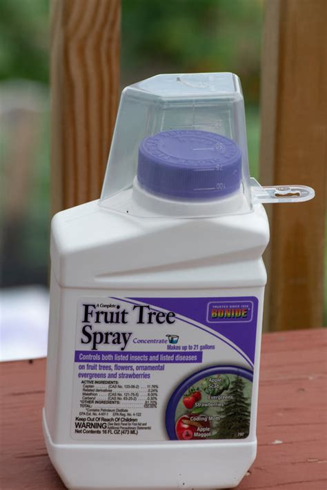 How To Control Japanese Beetles Maine Garden Ideas