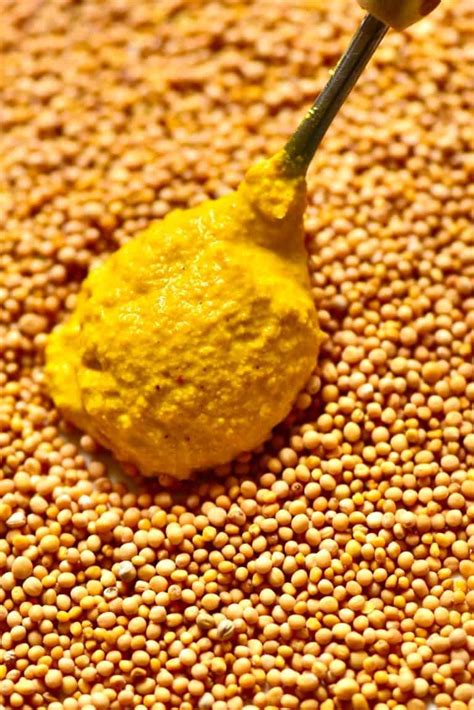 How To Make Mustard Homemade Mustard Diy Alphafoodie