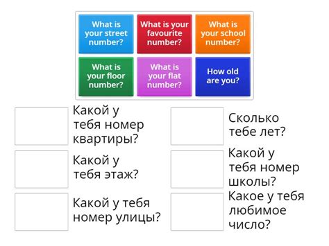 Numbers Translate Match Up