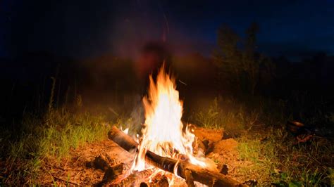 ¿cómo Se Producen Los Incendios Forestales La Profe Mónica