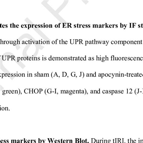 Apocynin Inhibits Activation Of The Ask1jnk Signaling Pathway