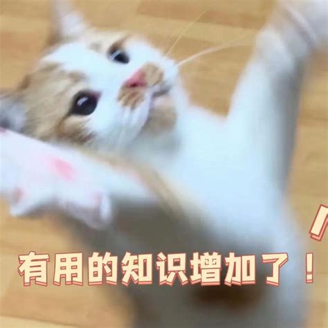 留学生回国前后，必做的七件事！ 知乎