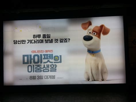 주말에 가족과 함께 본 애니메이션 마이펫의 이중생활 마이펫의이중생활엔딩크래딧 마이펫의이중생활기젯 네이버 블로그