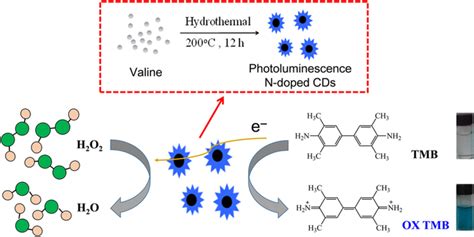 The Valine‐based N‐doped Carbon Dots With High Peroxidase‐like Activity Li 2022