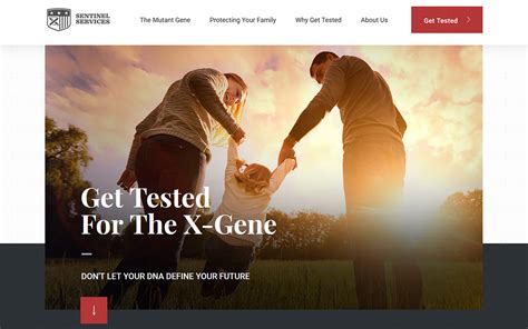 The Ted Sentinel Services Site The Fwa