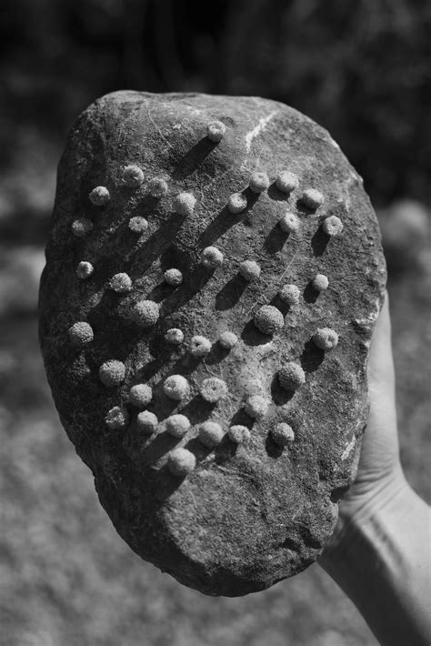 Chloe Milos Azzopardi — Incadaques Photo Festival Incadaqués Photo