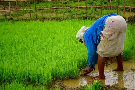 Kharif Msp Announcement Has To Be Reconciled With Rising Costs Across India