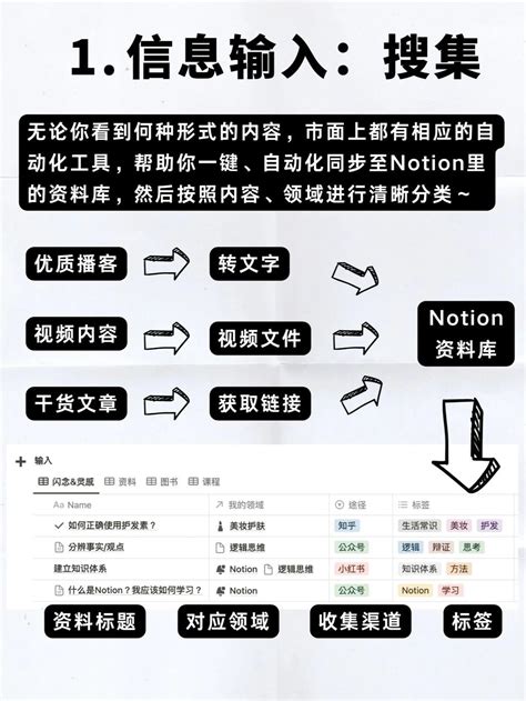 如何用 Notion 构建个人知识库｜模板分享 哔哩哔哩