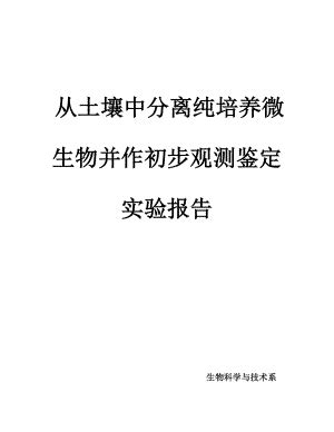 2023年大学土壤微生物分离实验报告