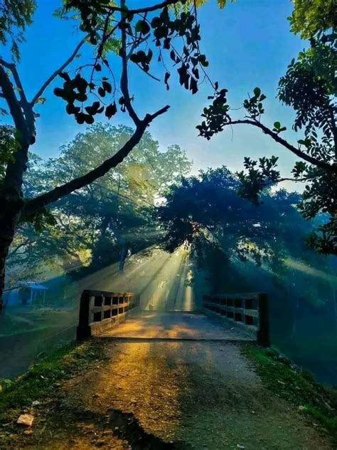 বাসুর রাতের হট গল্প