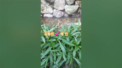 김용빈애인미스터트롯2 Youtube