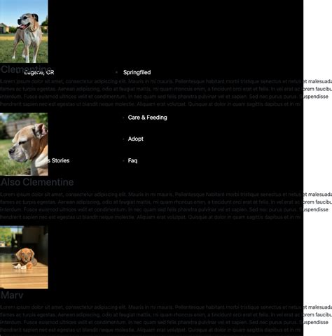 Html Css Only Images Showing Through Open Menu Pane Stack Overflow