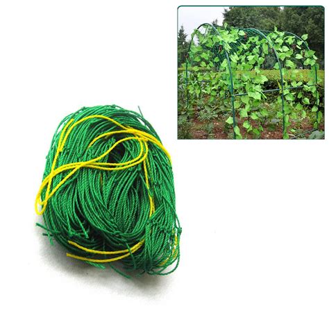 Climbing Plant Netting X Ft Plant Trellis Net Climbing Frame