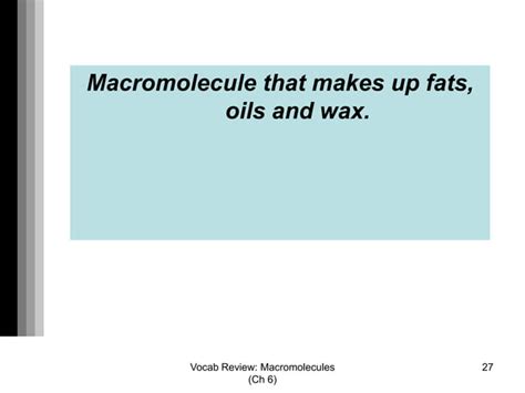Bppt Vocab Review Macromolecules Ss Ppt