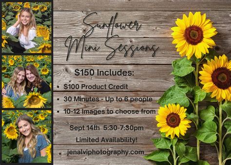 Sunflower Field Mini Sessions Jen Alvi
