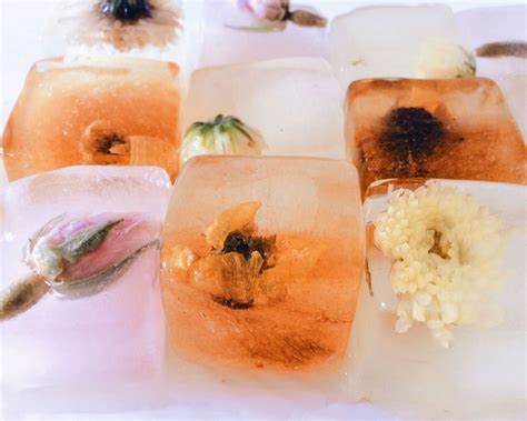 Herbal Tea Ice Cubes T Cubes Hello Tea Cup