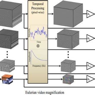 Overall Structure Of The Linear Based EVM 6 Download Scientific Diagram