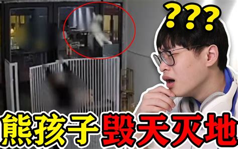 猫咪都不放过？？？盘点那些熊孩子毁天灭地的瞬间！ 老煎蛋啊 老煎蛋啊 哔哩哔哩视频