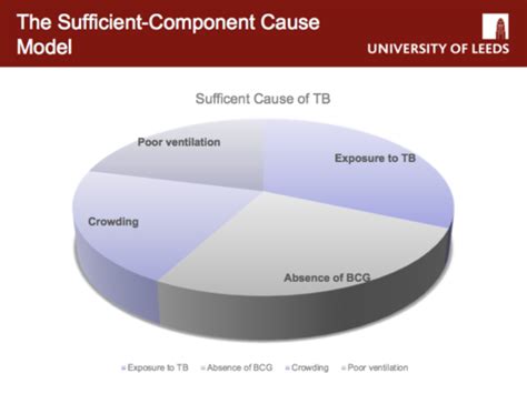 Iandp2 Lecture 4 Social Determinants Of Health Flashcards Quizlet