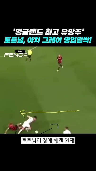 잉글랜드 최고 유망주 토트넘 아치 그레이 영입 확정 Youtube