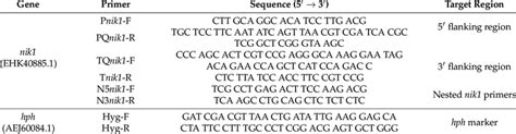 Primers Used For Gene Deletion Download Scientific Diagram