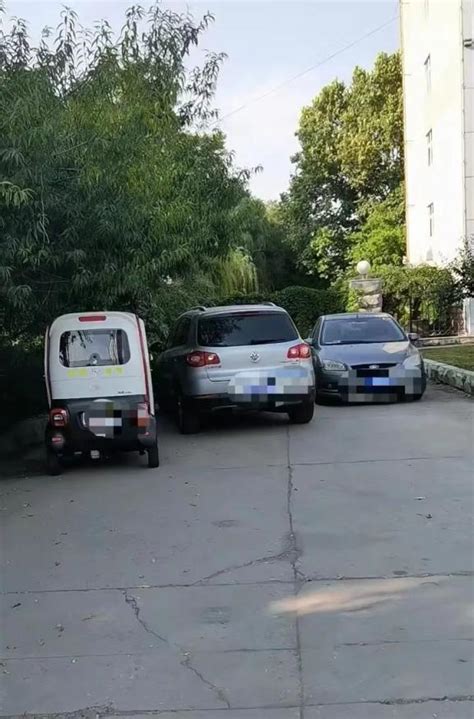 中秋旅游·不文明行为曝光丨这些行为要不得！（二）澎湃号·政务澎湃新闻 The Paper