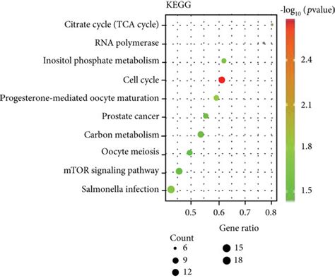 Go And Kegg Pathway Analysis Of Slc25a13 Coexpressed Genes A