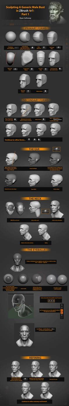 120 Sculpt Reference Ideas Anatomy Sculpture Anatomy Art Anatomy