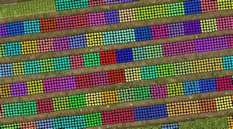 Hiphen Team The Importance Of Plot Mapping For Digital Phenotyping